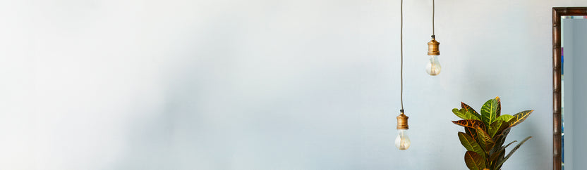 Lightbulbs | Genesis Cell and Dimmable Bulbs | Pooky Lighting