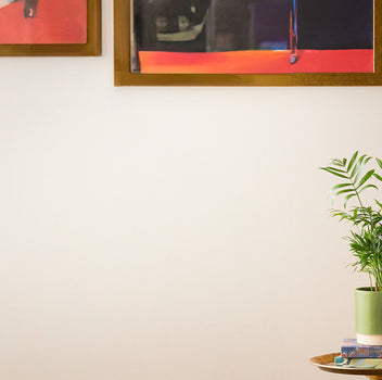 Plug-in Wall Fixtures | Pooky Lighting