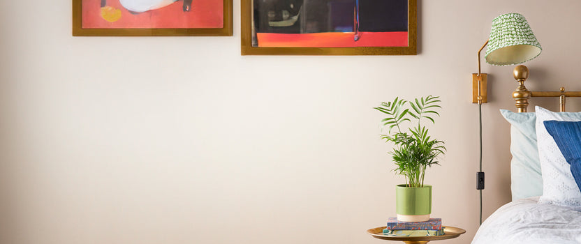 Plug-in Wall Fixtures | Pooky Lighting