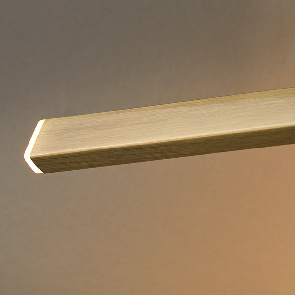 Medium Blake picture light in antiqued brass